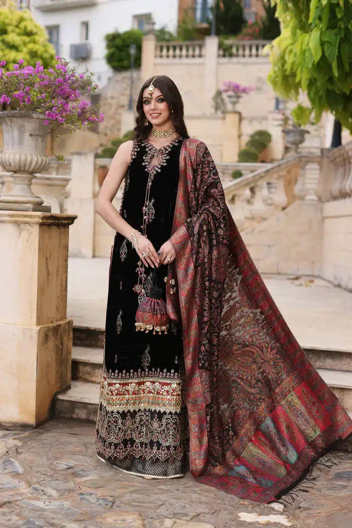 Noor by Saadia Asad | Kaani Wedding Formals 23 | D6 - House of Maryam